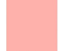 Charisma SW6605 Paint by Sherwin-Williams - modlar.com