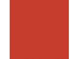 Chinese Red SW0057 Paint by Sherwin-Williams - modlar.com