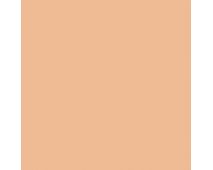 Chivalry Copper SW6353 Paint by Sherwin-Williams - modlar.com