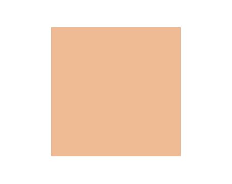 Chivalry Copper SW6353 Paint by Sherwin-Williams - modlar.com