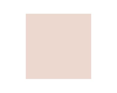 Classic Sand SW0056 Paint by Sherwin-Williams - modlar.com