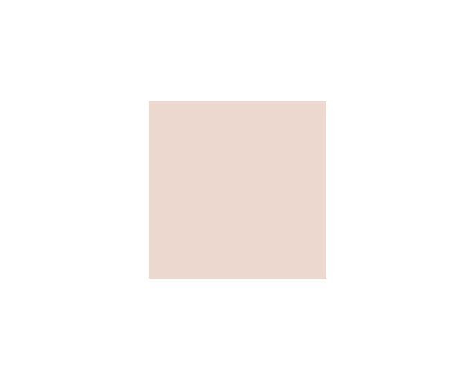 Classic Sand SW0056 Paint by Sherwin-Williams - modlar.com