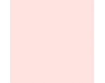 Comical Coral SW6876 Paint by Sherwin-Williams - modlar.com