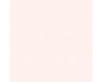 Conch Shell SW7115 Paint by Sherwin-Williams - modlar.com