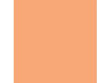 Copper Harbor SW6634 Paint by Sherwin-Williams - modlar.com