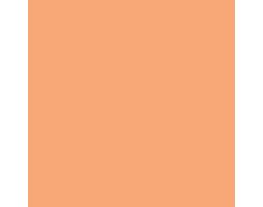 Copper Harbor SW6634 Paint by Sherwin-Williams - modlar.com
