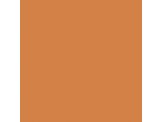 Copper Mountain SW6356 Paint by Sherwin-Williams - modlar.com