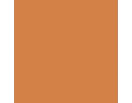 Copper Mountain SW6356 Paint by Sherwin-Williams - modlar.com