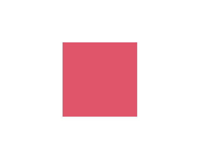 Coral Bells SW6593 Paint by Sherwin-Williams - modlar.com