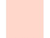 Cosmetic Peach SW6618 Paint by Sherwin-Williams - modlar.com
