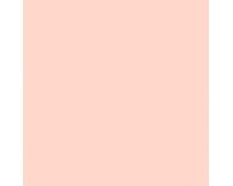 Cosmetic Peach SW6618 Paint by Sherwin-Williams - modlar.com