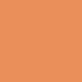 Determined Orange SW6635 Paint by Sherwin-Williams - modlar.com