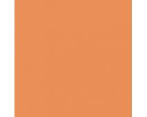 Determined Orange SW6635 Paint by Sherwin-Williams - modlar.com