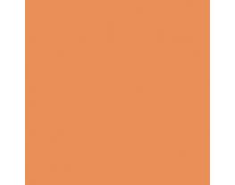 Determined Orange SW6635 Paint by Sherwin-Williams - modlar.com