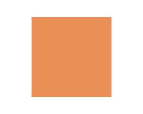 Determined Orange SW6635 Paint by Sherwin-Williams - modlar.com