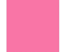 Dragon Fruit SW6855 Paint by Sherwin-Williams - modlar.com