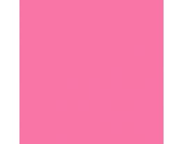 Dragon Fruit SW6855 Paint by Sherwin-Williams - modlar.com