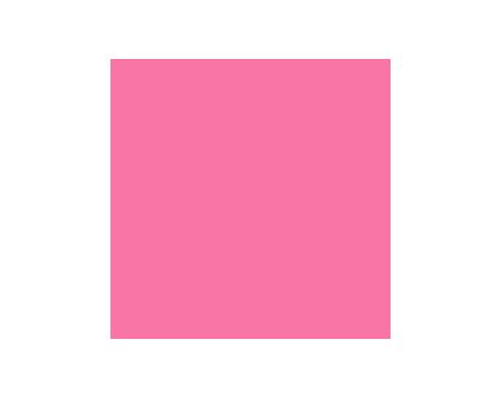 Dragon Fruit SW6855 Paint by Sherwin-Williams - modlar.com