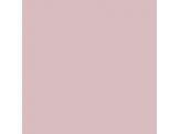 Dressy Rose SW6024 Paint by Sherwin-Williams - modlar.com