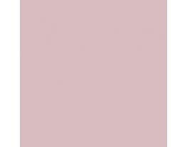 Dressy Rose SW6024 Paint by Sherwin-Williams - modlar.com