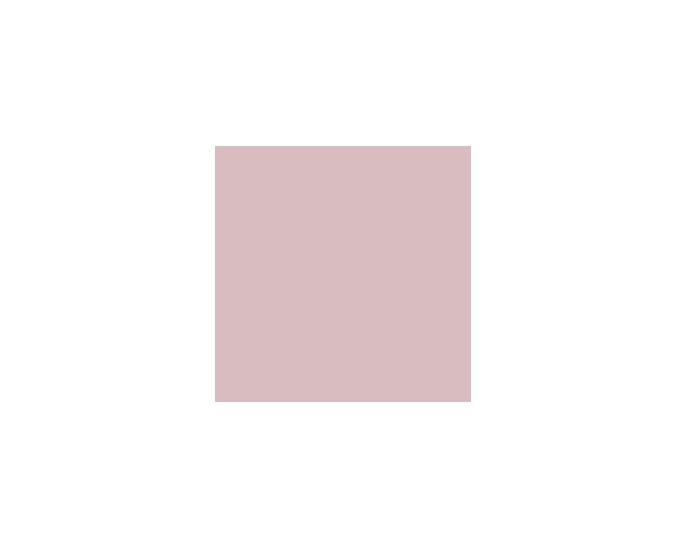 Dressy Rose SW6024 Paint by Sherwin-Williams - modlar.com