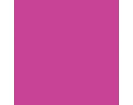 Dynamo SW6841 Paint by Sherwin-Williams - modlar.com