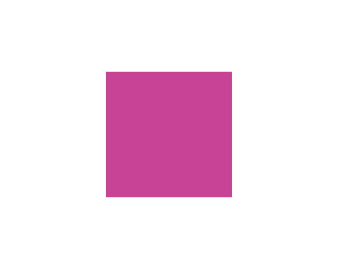 Dynamo SW6841 Paint by Sherwin-Williams - modlar.com