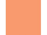 Ember Glow SW6627 Paint by Sherwin-Williams - modlar.com