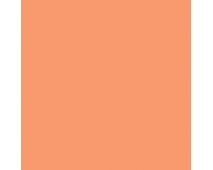 Ember Glow SW6627 Paint by Sherwin-Williams - modlar.com