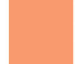 Ember Glow SW6627 Paint by Sherwin-Williams - modlar.com