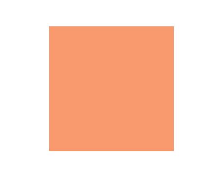 Ember Glow SW6627 Paint by Sherwin-Williams - modlar.com