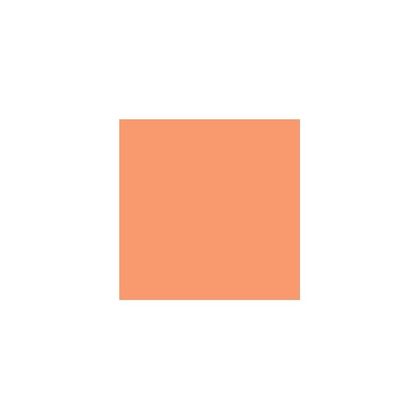 Ember Glow SW6627 Paint by Sherwin-Williams - modlar.com