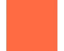 Energetic Orange SW6880 Paint by Sherwin-Williams - modlar.com