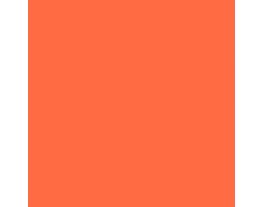 Energetic Orange SW6880 Paint by Sherwin-Williams - modlar.com