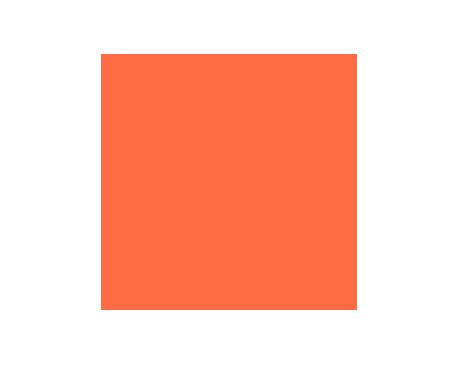 Energetic Orange SW6880 Paint by Sherwin-Williams - modlar.com