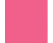 Eros Pink SW6860 Paint by Sherwin-Williams - modlar.com