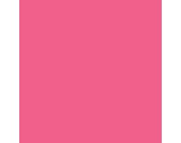 Eros Pink SW6860 Paint by Sherwin-Williams - modlar.com