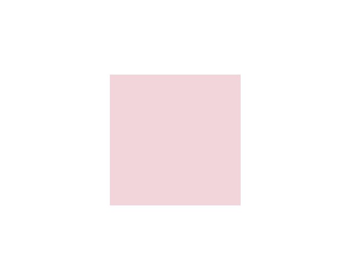 Fading Rose SW6296 Paint by Sherwin-Williams - modlar.com