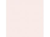Faint Coral SW6329 Paint by Sherwin-Williams - modlar.com