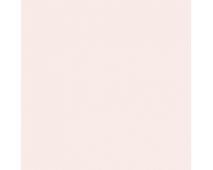 Faint Coral SW6329 Paint by Sherwin-Williams - modlar.com