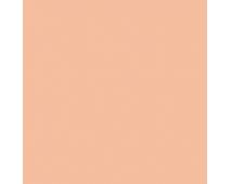 Fame Orange SW6346 Paint by Sherwin-Williams - modlar.com