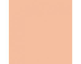 Fame Orange SW6346 Paint by Sherwin-Williams - modlar.com