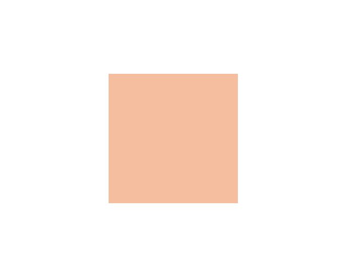 Fame Orange SW6346 Paint by Sherwin-Williams - modlar.com