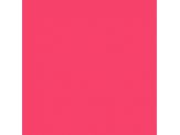 Feverish Pink SW6859 Paint by Sherwin-Williams - modlar.com