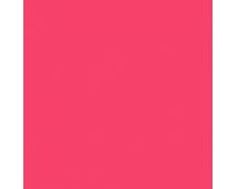 Feverish Pink SW6859 Paint by Sherwin-Williams - modlar.com