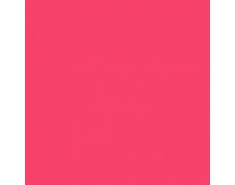 Feverish Pink SW6859 Paint by Sherwin-Williams - modlar.com