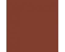 Fiery Brown SW6055 Paint by Sherwin-Williams - modlar.com