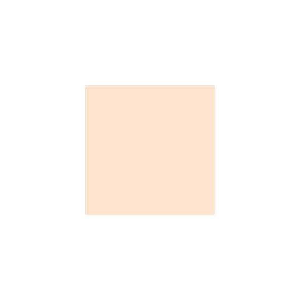 Flattering Peach SW6638 Paint by Sherwin-Williams - modlar.com