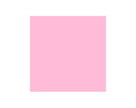 Fussy Pink SW6853 Paint by Sherwin-Williams - modlar.com