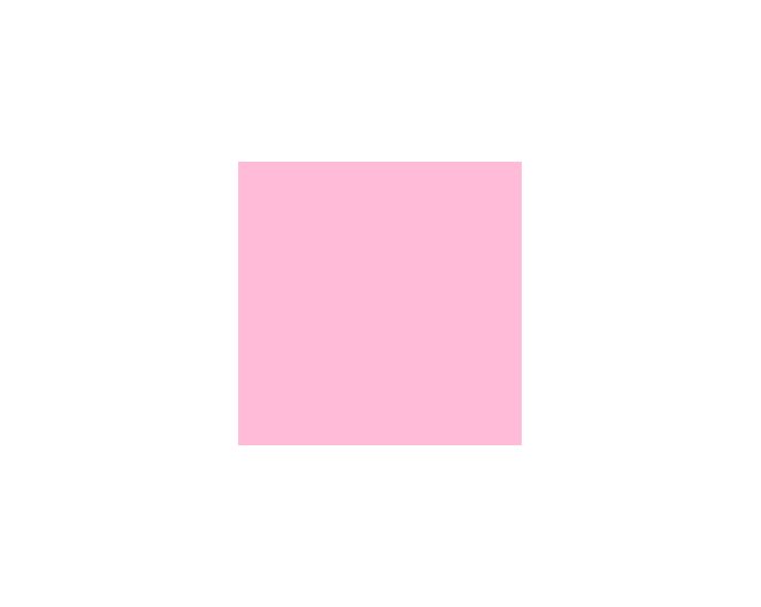 Fussy Pink SW6853 Paint by Sherwin-Williams - modlar.com